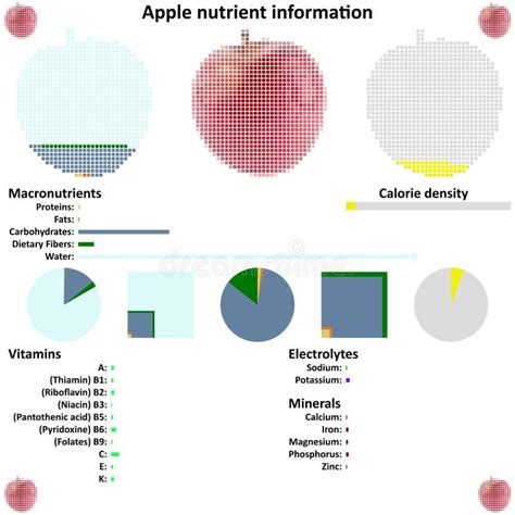 Apple Nutrient Information Stock Vector Illustration Of Macronutrient