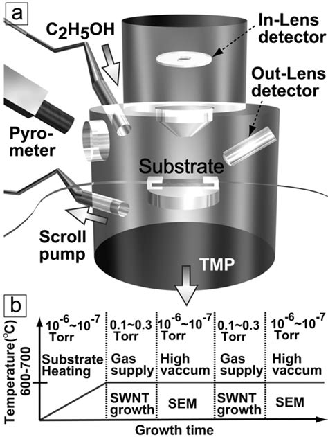 Experimental Setup A Schematic Illustration Of Download