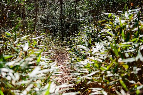茨城県の御前山ハイキングコースに行ってきた 大佐フォト