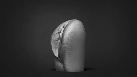 Anatomy Of The Vagina3dモデル Turbosquid 1673058