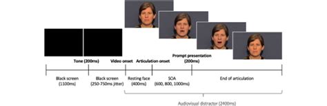 Stimulus Response Compatibility Src Trial Timeline For Experiment 1 Download Scientific