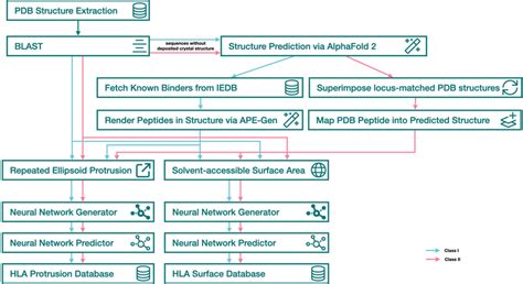 Data Flow Chart Of Experimental And Predicted Hla Structures Considered