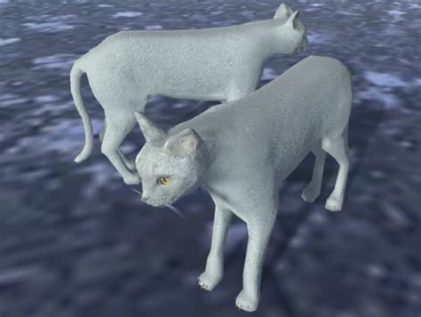 Grey Cat Characters Unity Asset Store Grey Cat Characters Unity Asset Store