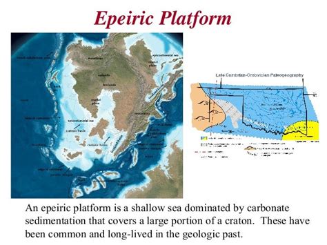 Carbonate Depositional Systems