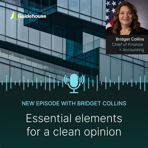 Federal Auditors Listen Up The Latest All Things Financial Management… Guidehouse Defense