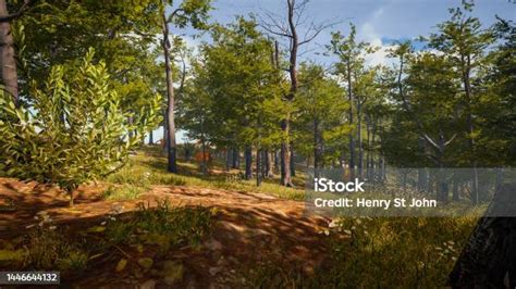 지속 가능한 개발 목표 및 생태계 보호를 설명하는 풍경 몰입형 자연 환경 3d 렌더링 0명에 대한 스톡 사진 및 기타 이미지 0명 가상현실 메타버스 Istock