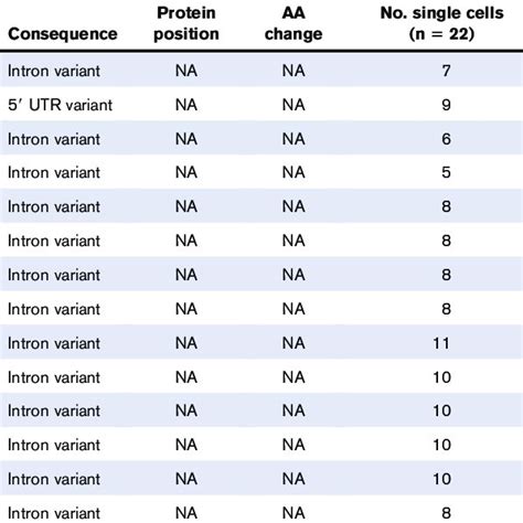 Workflow Of The Single Cell Wgs Analysis Schematic Representation Of Download Scientific