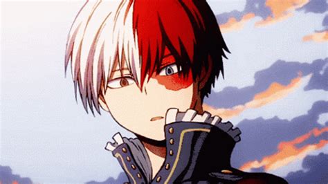 Shoto Todoroki S