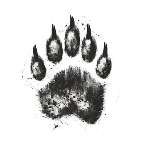 How To Draw Bear Paw Prints