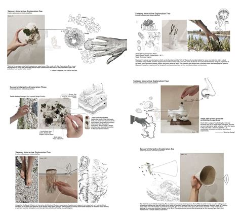 The Study On The Perception And Experience In Architecture Based On