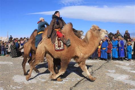 Баянцагаан сумынхан Тэмээний баяраа хийж байна