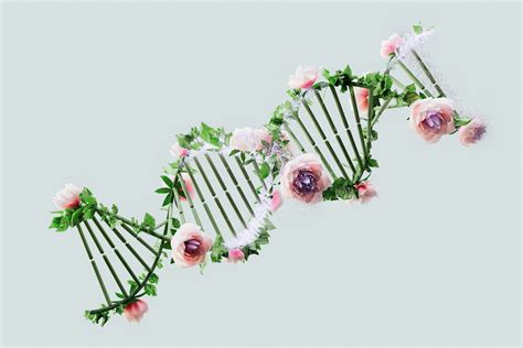 Genomics Lengerich Lab
