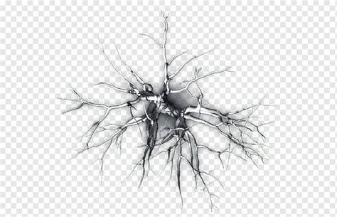 Twig Desktop Tree Dead Tree Winter Computer Branch Png PNGWing