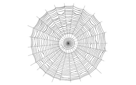 How To Draw A Spider Web Step By Step