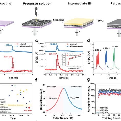 Electrospun Nanofiber‐based Synaptic Transistor With Tunable Plasticity