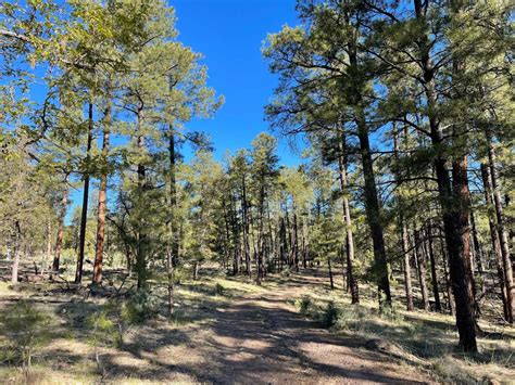 Apache Peak Road New Mexico Gps Trail Map Conditions And Difficulty