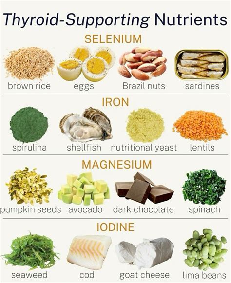 Thyroid Health Artofit