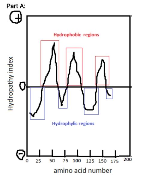 [solved] A The Figure Below Is A Blank Hydropathy Plot Waiting For Some Course Hero