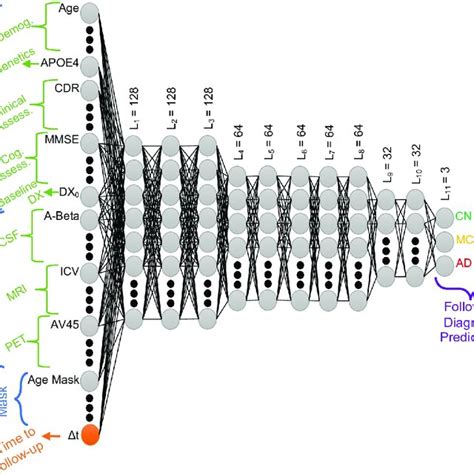 Feed Forward Fully Connected Neural Network Architecture Nonlinear
