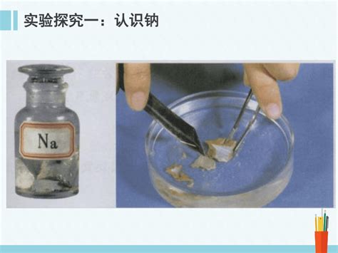 2 1金属钠的性质与应用 课件 共18张PPT 2023 2024学年高一上学期人教版2019必修第一册 21世纪教育网 二一教育