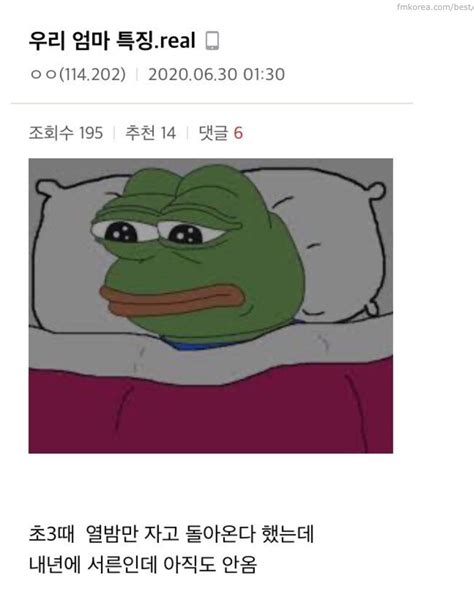 더쿠 어느 디시인의 엄마