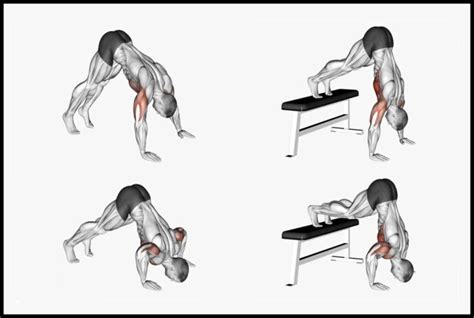 Flexiones En Pica Diferentes Variantes Y Niveles De Dificultad