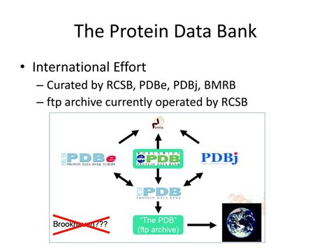 PPT Structure Databases The Protein Data Bank PowerPoint Presentation ID 2142090