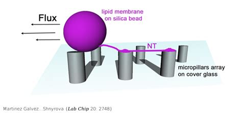 Microfluidic Chip With Pillar Arrays For Controlled Production And