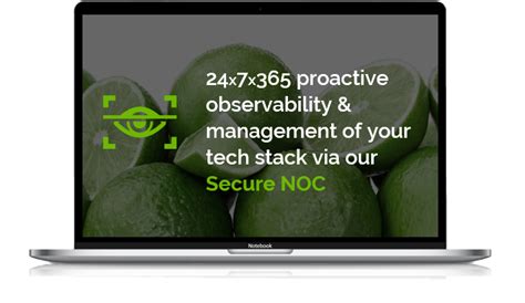 Netfoundry Network As A Service Loop1