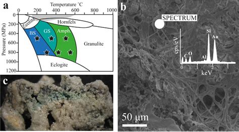 Metamorphic Evolution Of Carbonate Hosted Microbial Biosignatures Geochemical Perspectives Letters
