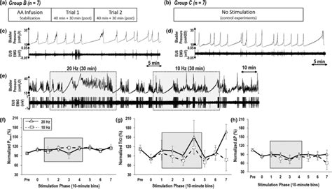 Experimental Protocol Of A Sn Stimulation In A Hyperactive Bladder Download Scientific
