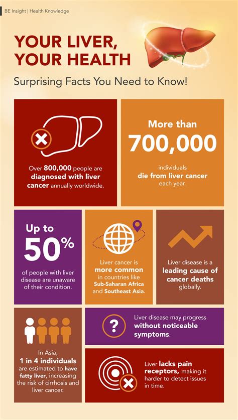 Your Liver Your Health Surprising Facts You Need To Know Be