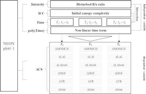 Illustration Of The Structures Of Repeated Measured Data And Mixed