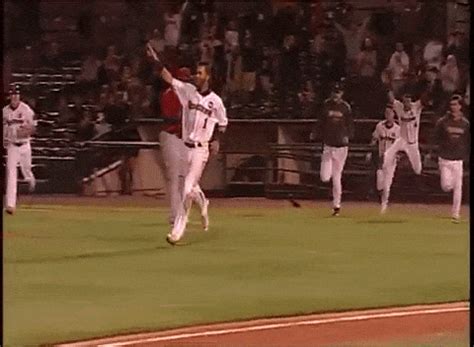 Baseball Celebrations S Get The Best  On Giphy