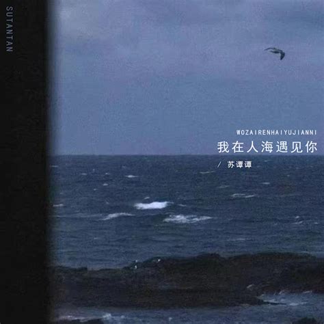我在人海遇见你 烟嗓女版 Youtube Music
