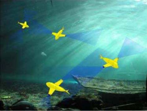 Envisioned Collaborative Sensing By A Group Of Underwater Robots With
