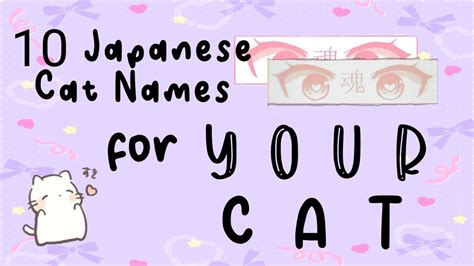 10 Japanese Cat Names For Your Cat Youtube