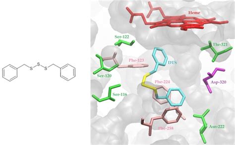 Left Chemical Structure Of Dibenzyl Trisulfide Dts Revealing Its