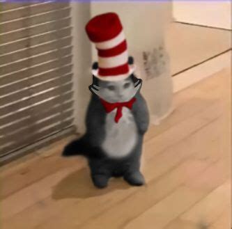 The Cat In The Hat El Gato Del Sombrero Cosa 1 Y Cosa 2 El Gato