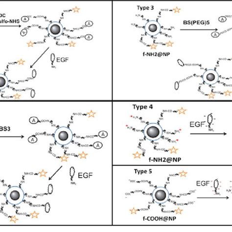 List Of Silica Coated Nanoparticle And Functionalized Nanoparticle