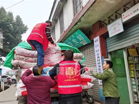 11015亩涉及14个村社区隆昌这个高粱种植基地种出新希望 澎湃号媒体 澎湃新闻 The Paper