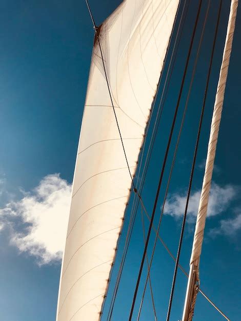 Premium Photo Sailing In The Caribbean