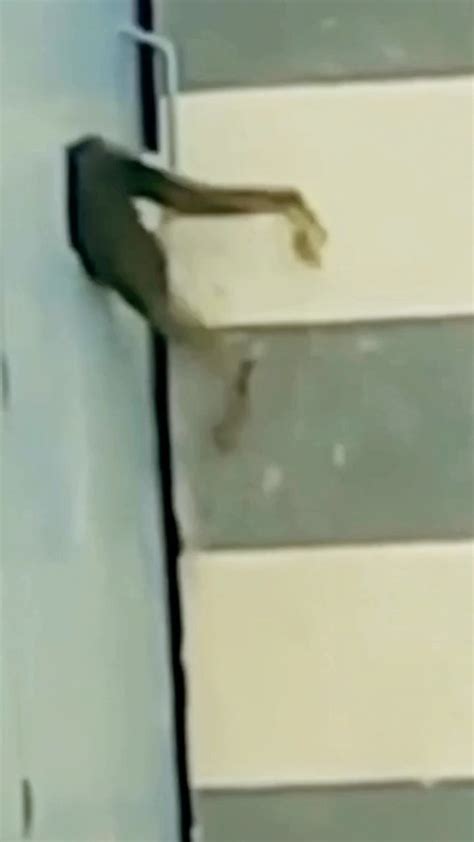 Приколы Юмор Смех Забыл ключи от дома смех приколы анекдоты юмор Instagram