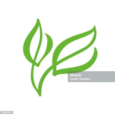 녹차의 녹색 잎의 로고 생태 자연 요소 벡터 아이콘 정원입니다 에코 비 건 바이오 서 예 손으로 그린 그림 0명에 대한 스톡 벡터 아트 및 기타 이미지 Istock