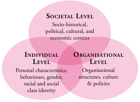 Figure A Meso Level Approach To Women Leadership Download Scientific Diagram