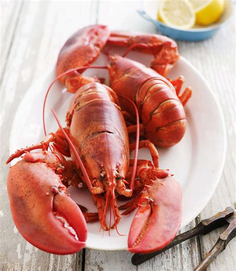 8 Foods That Can Improve Your Sex Life