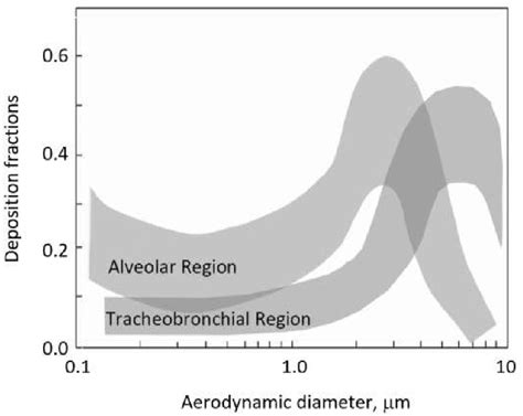 Deposition Fractions In The Tracheobronchial And Alveolar Regions For Download Scientific