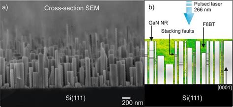 Gan Nr Sample A Cross Section Sem And B Illustration Of