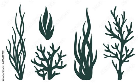 Printable Coral Template