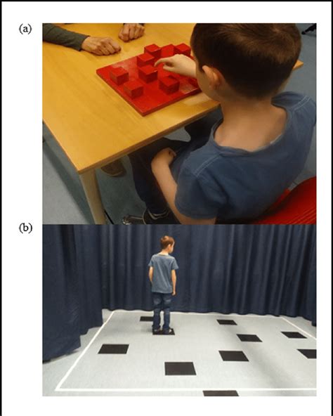 A Apparatus Used To Administer The Corsi Block Tapping Test CBT Download Scientific Diagram